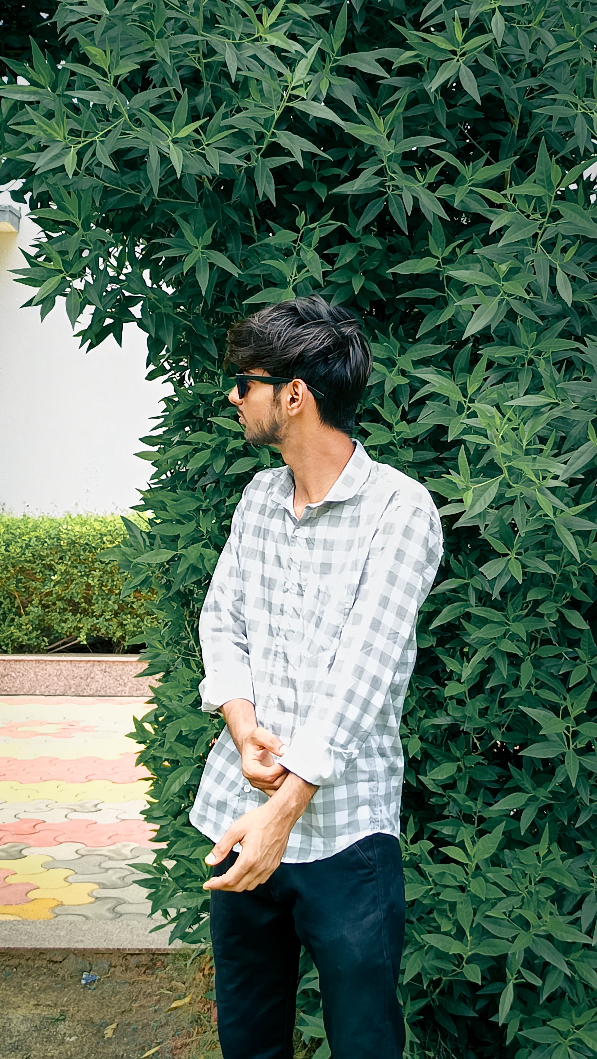 Nikul Kumar | Creative Developer